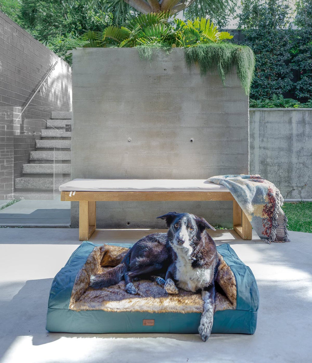 Buy Outdoor Dog Beds in Australia | Weather-Resistant Dog Beds – Anubis ...